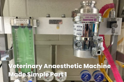 The Veterinary Anaesthetic Machine Made Simple Part 1 - Vetanswers